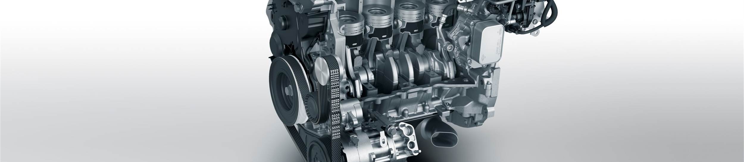 Distrubutieriem of een distrubutieketting? | Nabuurs